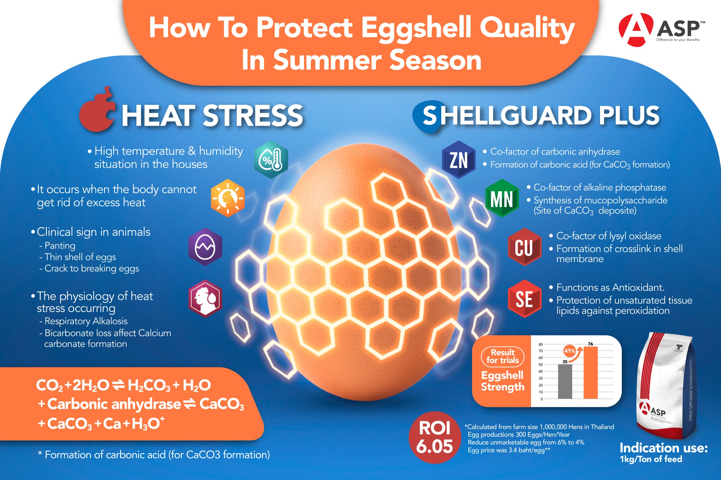 How to protect eggshell quality in the summer season? - Vet Products Group