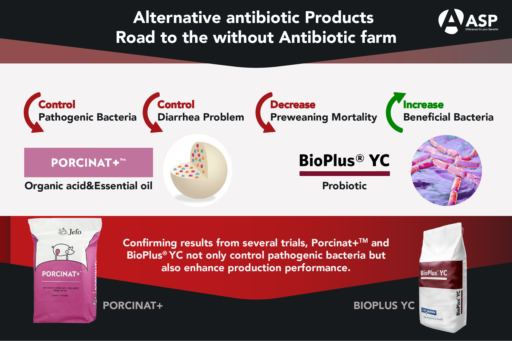 Alternative antibiotic product road to the without antibiotic - Vet ...