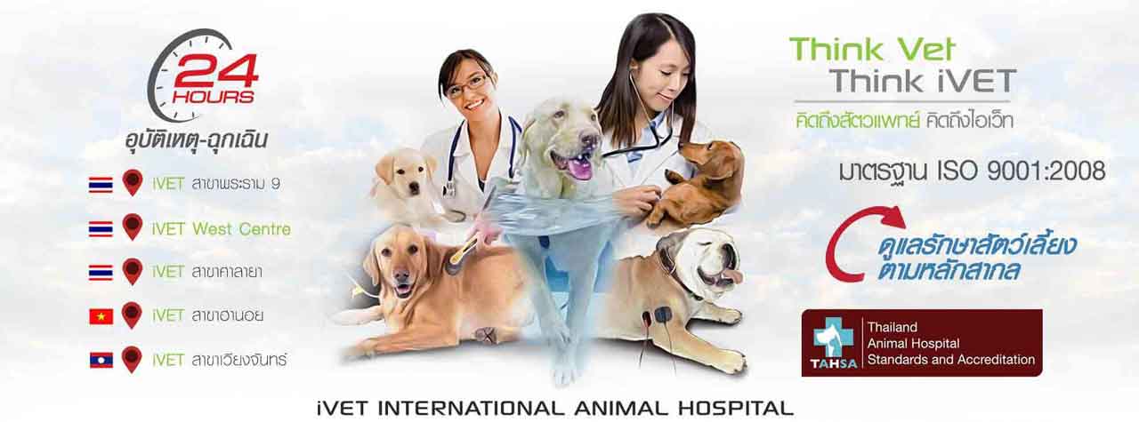 Vet Products Group - No1 Animal Health Supplement & Pharmaceutical