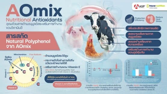 Aomix สารต้านอนุมูลอิสระทรงอานุภาพ เสริมสร้างการทำงานของภูมิคุ้มกันทั้ง ...